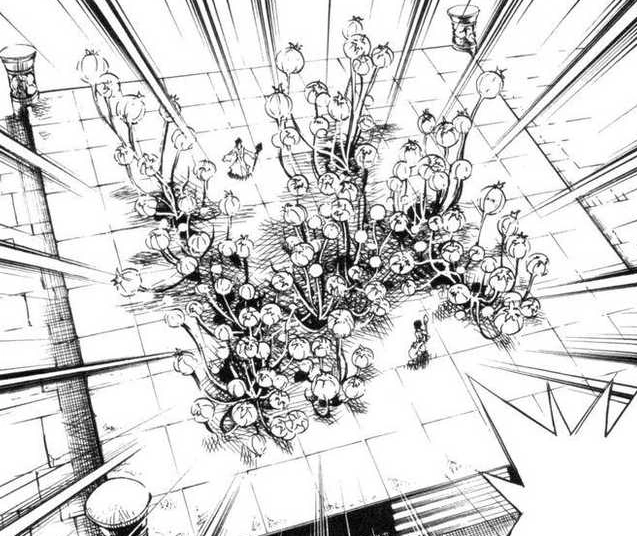 Bomb Grass | MÄR Wiki | Fandom