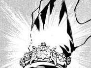 Flying Leo | MÄR Wiki | Fandom