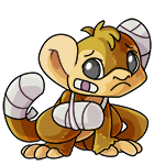 Addow | Marapedia | Fandom