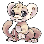 Addow | Marapedia | Fandom