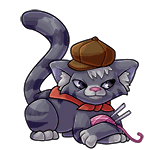 Adult Forum | Marapedia | Fandom