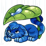 Forums | Marapedia | Fandom