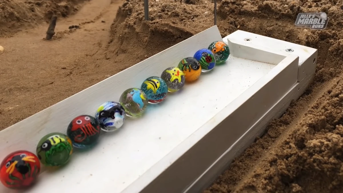 Animal Marble Race | Jelle'sMarbleRuns Wiki | Fandom