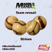 Strixes | Jelle'sMarbleRuns Wiki | Fandom