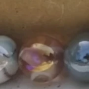 Orby | Jelle'sMarbleRuns Wiki | Fandom