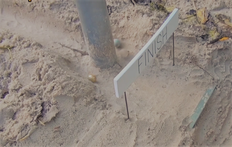 Sand Marble Rally 2016 - Race 11 | Jelle'sMarbleRuns Wiki | Fandom