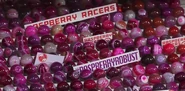 Raspberry Racers | Jelle'sMarbleRuns Wiki | Fandom