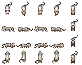 Summoning Scroll-White Rat | Margonem (english) Wiki | Fandom