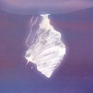 PRINCESS OF POWER/Timeline/2025 | Marina and the Diamonds Wiki | Fandom