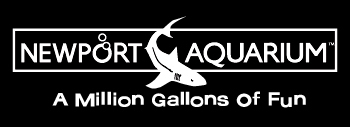 Newport Aquarium | Marine Wiki | Fandom