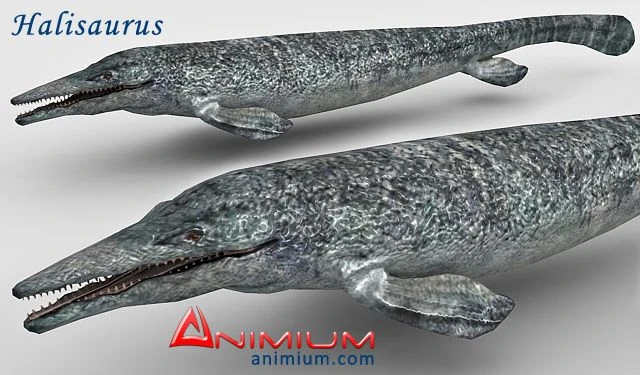 Halisaurus | Marine Wiki | Fandom