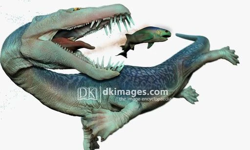 Nothosaurus | Marine Wiki | Fandom