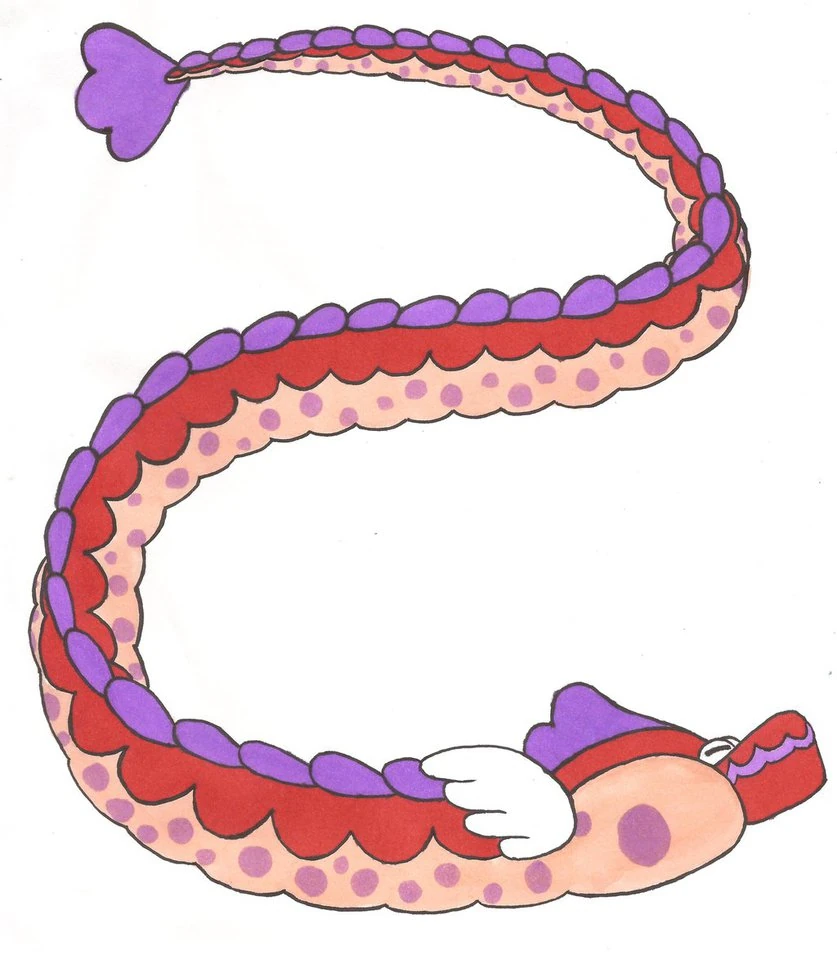 User blog:Georgeswicki/Dragoneel | Mario Ememies,Bosses,and Mario with ...