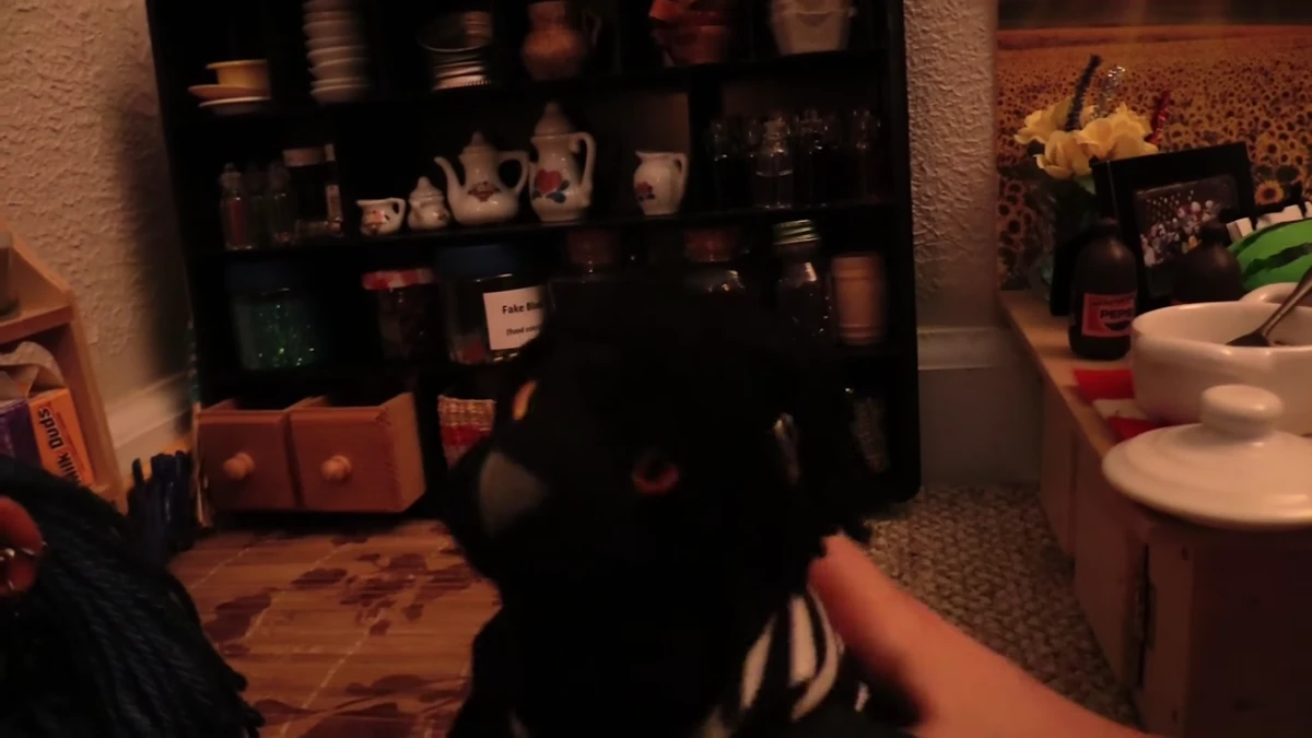 Midnight | Mario Muffet Adventures Wikia | Fandom