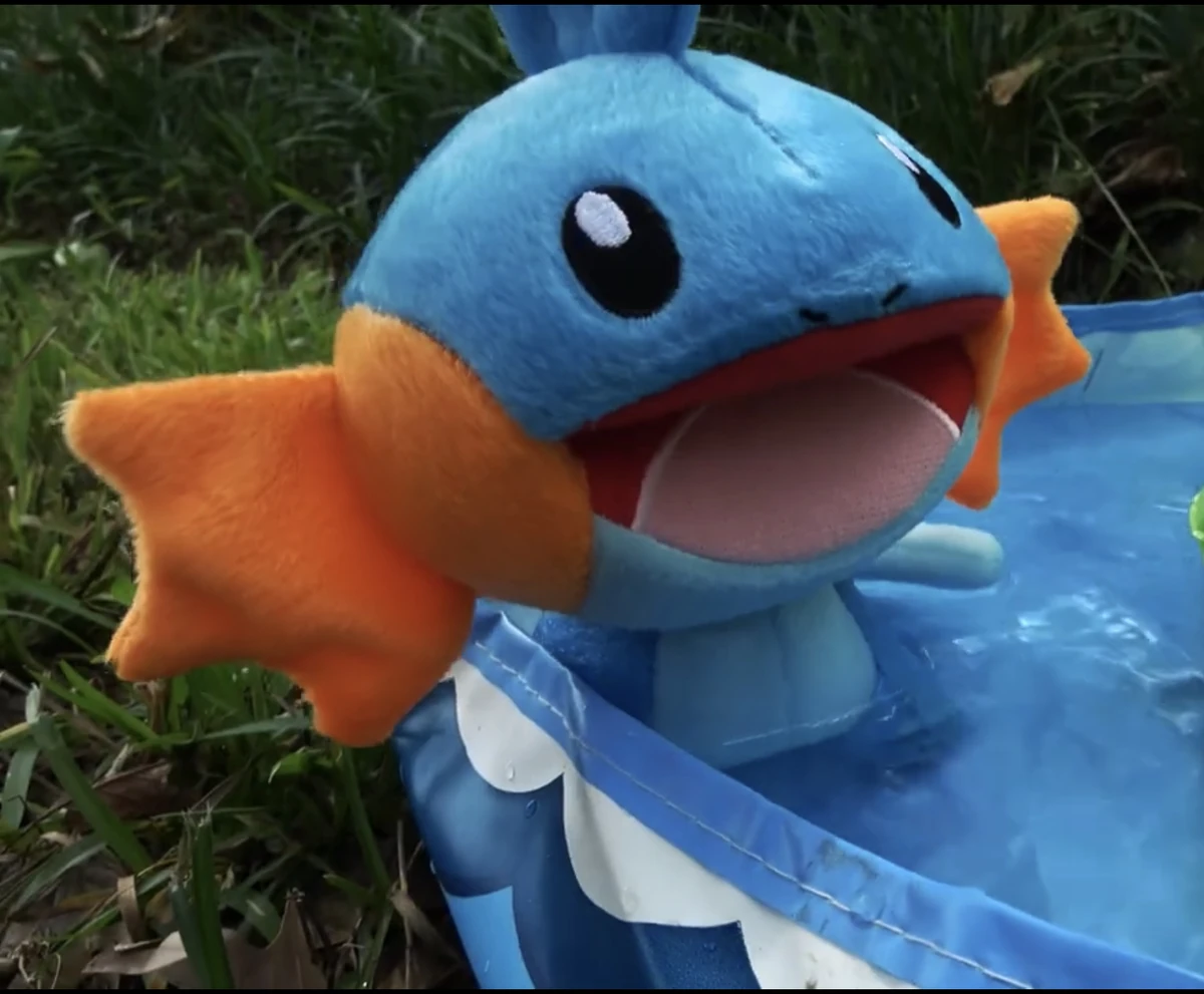 Mudkip | Mario Muffet Adventures Wikia | Fandom