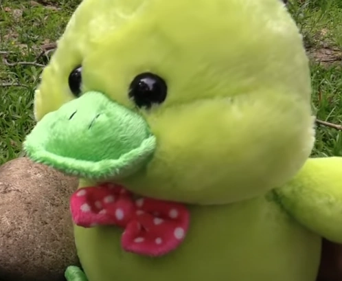 Quackers the Duck | Mario Muffet Adventures Wikia | Fandom