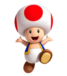 Toad | Mario Racing Wiki | Fandom