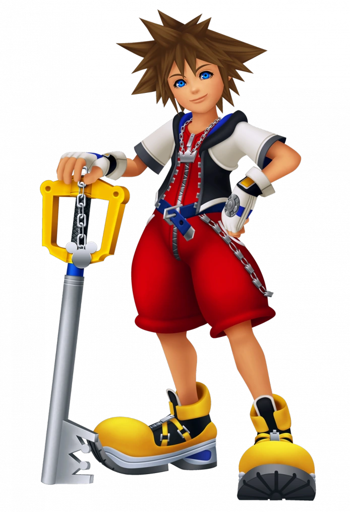 Data Sora | Mario, Sonic and Sora Wiki | Fandom