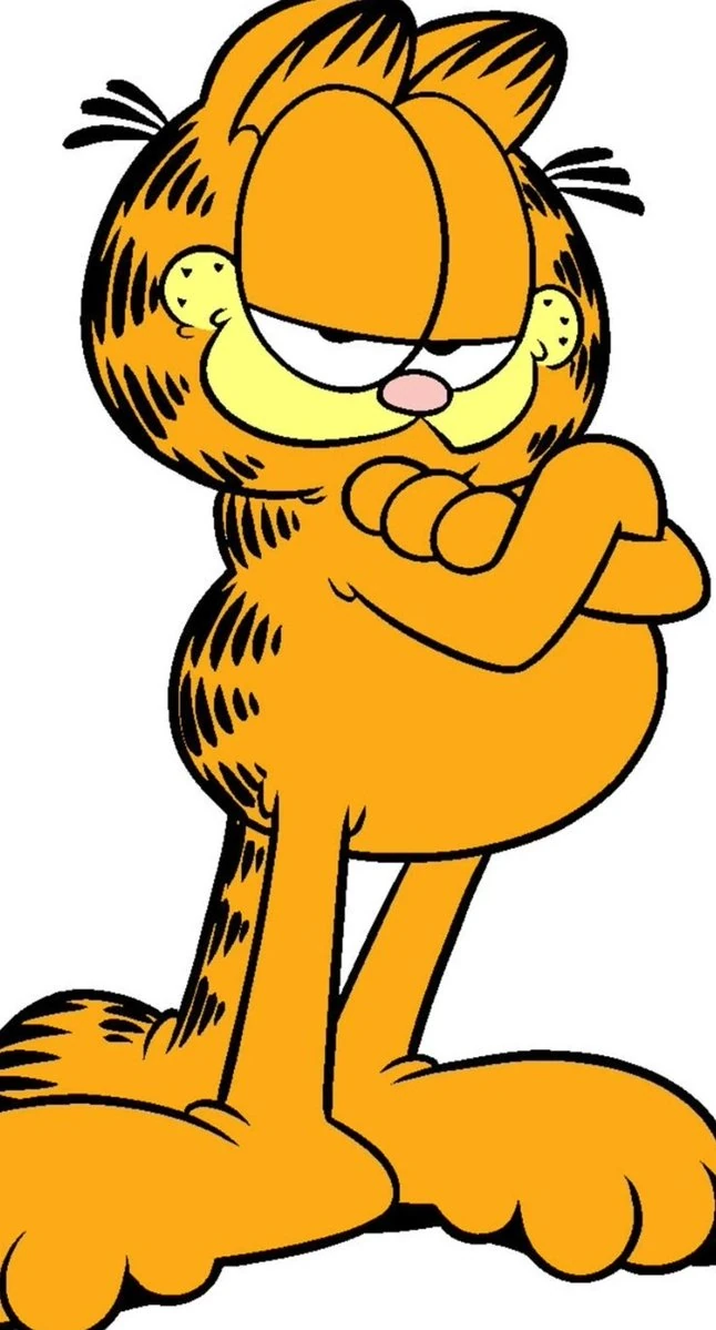 Garfield | Mario The Anime Wiki | Fandom