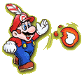 Feuer-Verwandlung | MarioWiki | Fandom