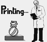 Bear | Mario Wiki | Fandom