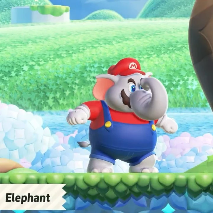 Mario Elefante | Super Mario Wiki | Fandom