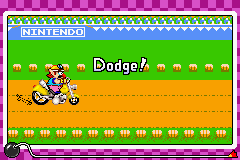 Biker | MarioWiki | Fandom