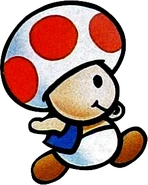Toad (character)/Gallery | Mario Wiki | Fandom