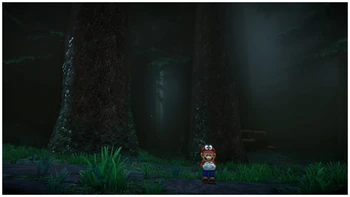 Deep Woods | Mario Wiki | Fandom
