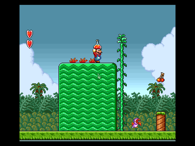 Poción | Super Mario Wiki | Fandom