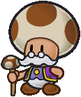 Maestro Kinopio | Super Mario Wiki | Fandom