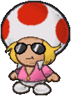 Zip Toad | Mario Wiki | Fandom
