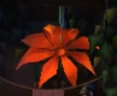 Orange flower | Mario Wiki | Fandom