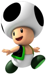 User blog:Mickeybb1/the cool toad | Mario Wiki | Fandom