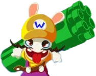 Trio Bwah | Wiki Mario | Fandom