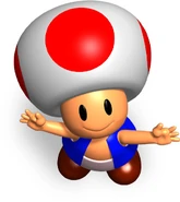 Toad (character)/Gallery | Mario Wiki | Fandom