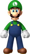 New Super Mario Bros. Wii/Gallery | Mario Wiki | Fandom