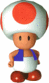 Toad (character)/Gallery | Mario Wiki | Fandom