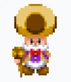 Maestro Kinopio | Super Mario Wiki | Fandom