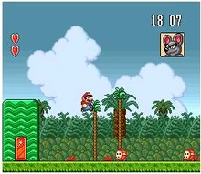 Subcon | Wiki Mario | Fandom