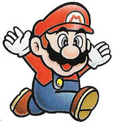 List of characters in Super Mario Bros. 2 | Mario Wiki | Fandom