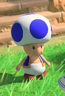 Caddiemaster | MarioWiki | Fandom