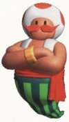Mushroom Genie | Mario Wiki | Fandom
