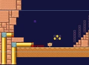 New Super Mario Bros. Wii/Beta elements | MarioWiki | Fandom