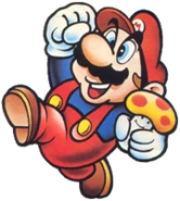 Super Mario Bros. | Super Mario Wiki | Fandom