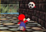 Snufit | Mario Wiki | Fandom