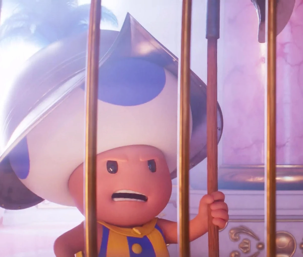 Unidentified Palace Dungeon Guard | Mario Wiki | Fandom