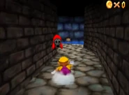 Snufit | Mario Wiki | Fandom