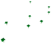 New Super Mario Bros. Wii/Beta elements | MarioWiki | Fandom