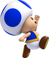 Blue Toad | Mario Wiki | Fandom